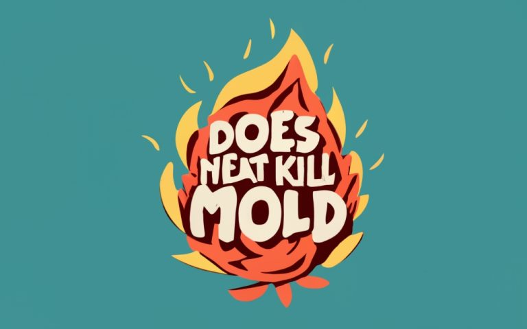 Does Heat Kill Mold? A Closer Look at This Controversial Method ...